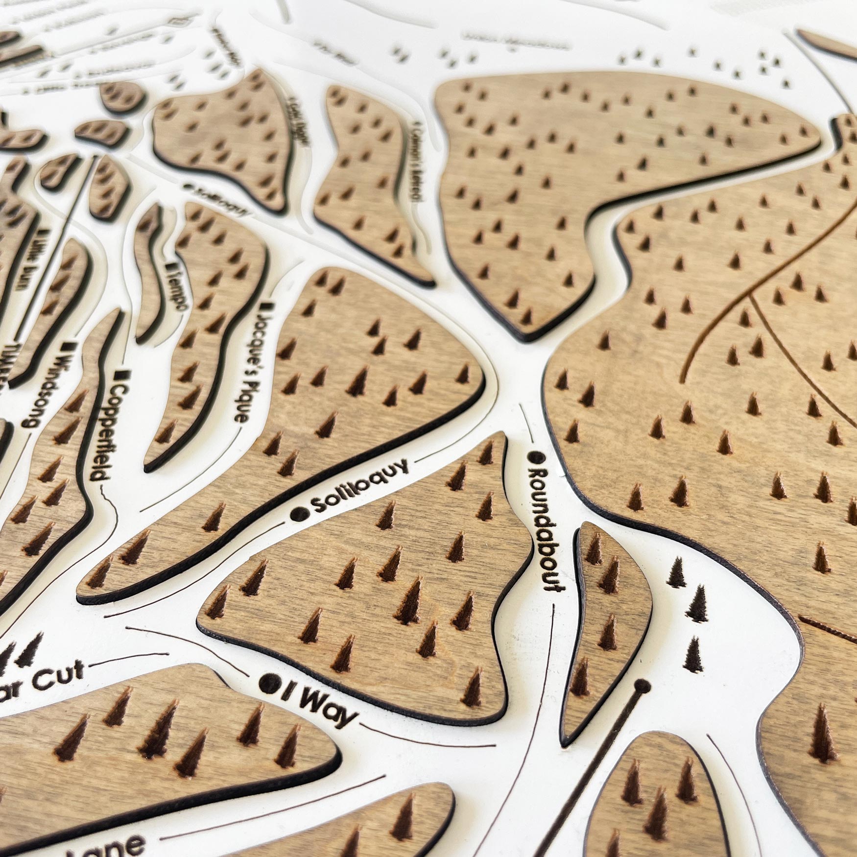 Copper Mountain Ski Trail Map | 3D Wooden Trail Map Art – Slopes ...